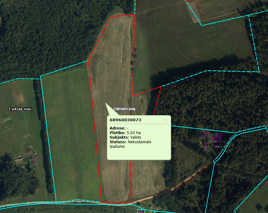 Elektronisko izsoļu vietne